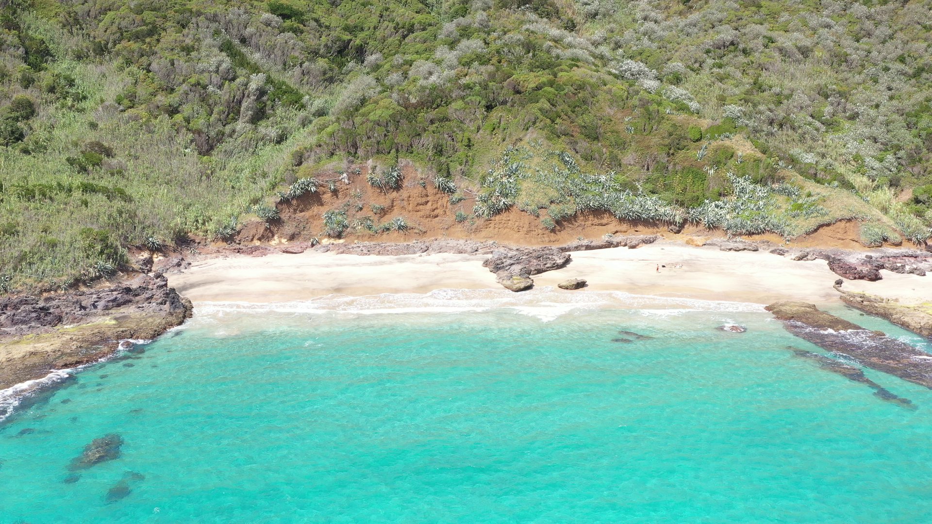 AZSS – Azores Summer School in Marine Island (Palaeo)Biogeography